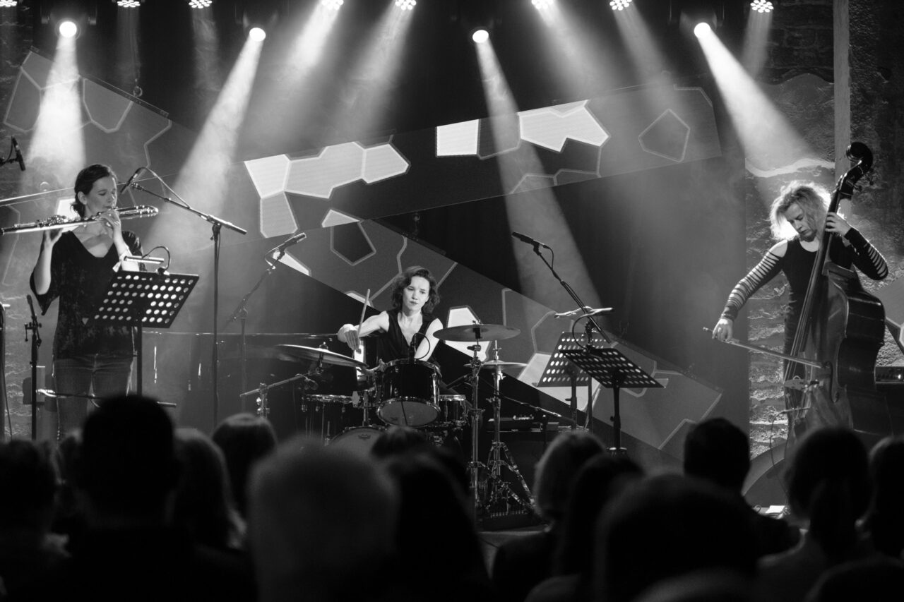 Mingo Rajandi & Duo DEAE – Sileesia kangrud - Festival Jazzkaar